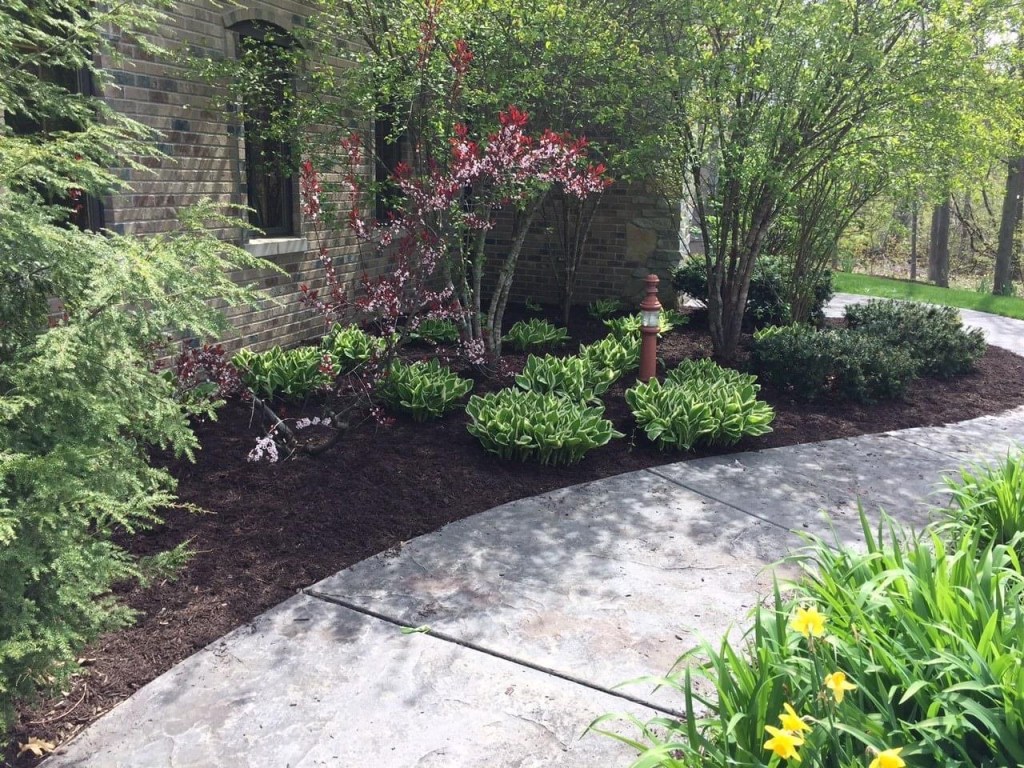 Sadler Landscaping LLC – property maintenance services